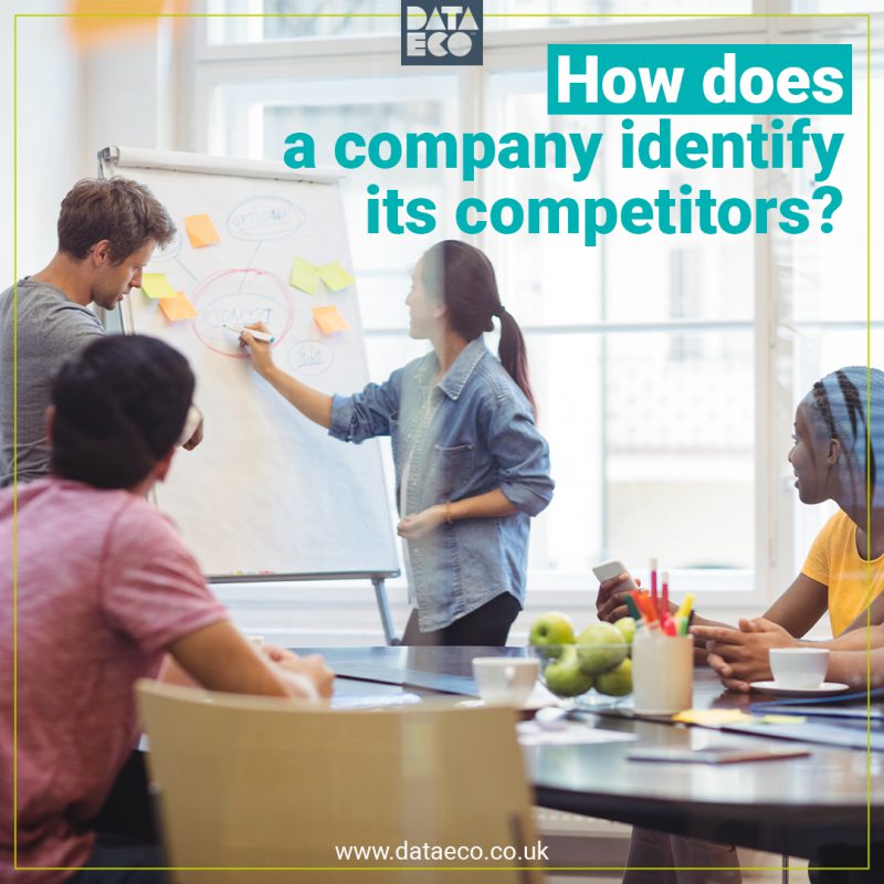 check company competitors • See how companies Rank?